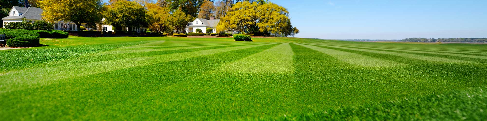 Lawn Tips for a Perfect Lawn - Lawn Medic