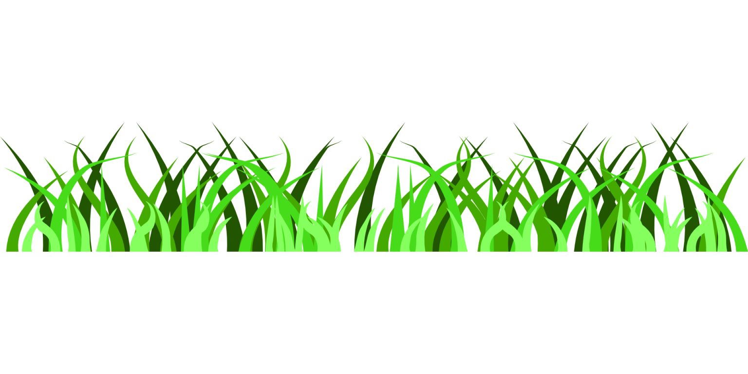 Lawn Tips for a Perfect Lawn – Lawn Medic