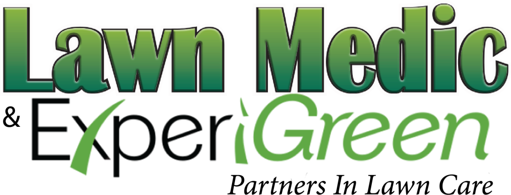 Common Lawn Diseases to Watch For - Lawn Medic