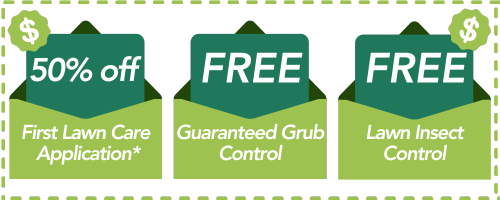 Lawn Medic – The Right Prescription