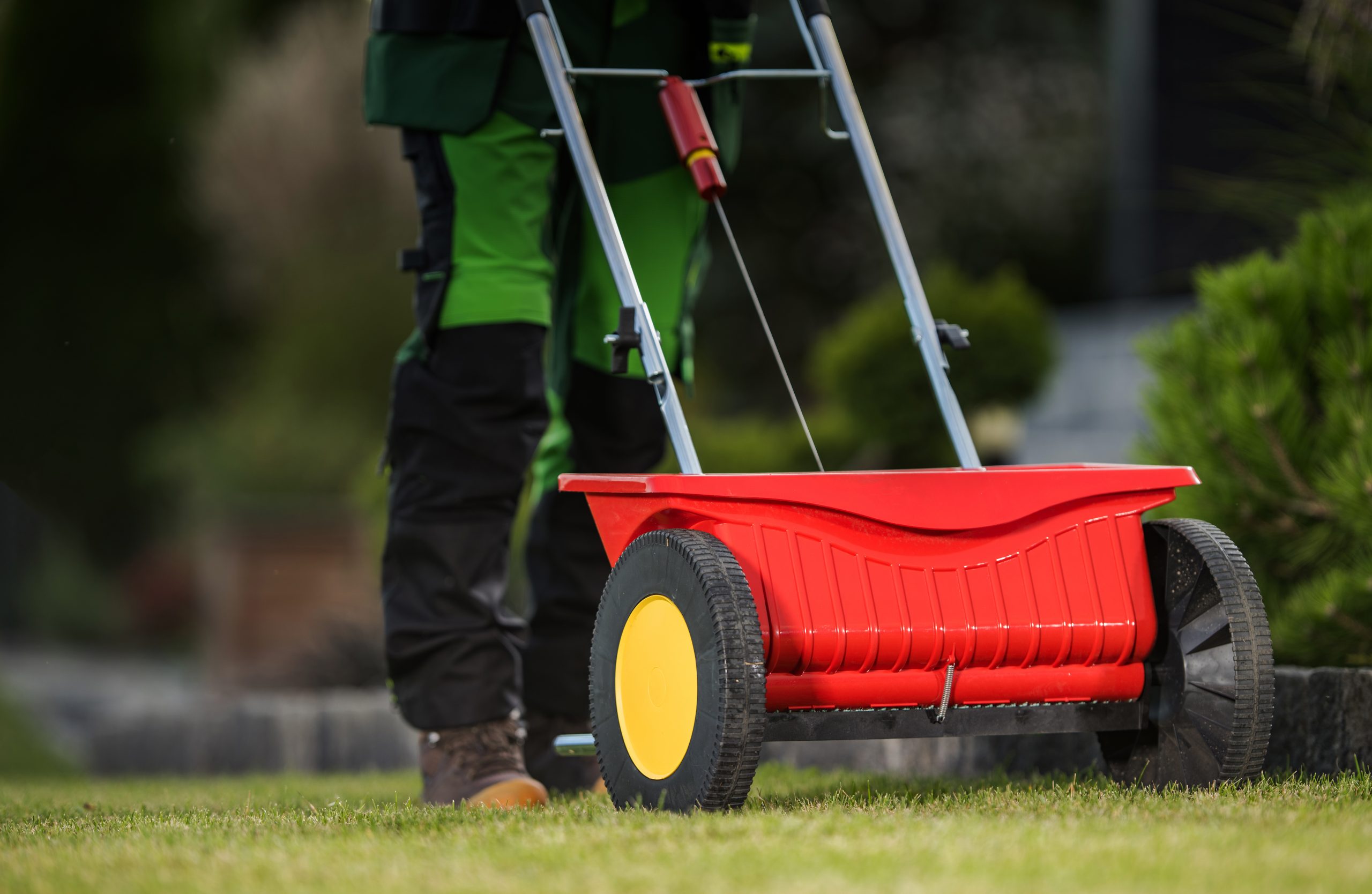 DIY Lawn Care vs Using a Lawn Service - Lawn Medic
